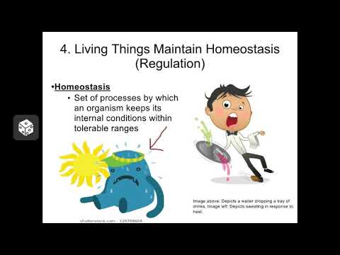 Sp 18 Ch 1 Pt 2 What Is Life 8 Characteristics of Life