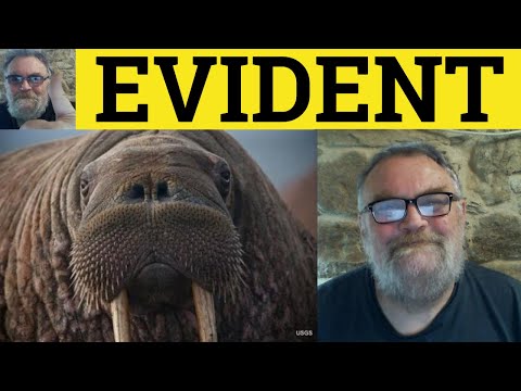 🔵 Evident Meaning - Self Evident Defined - Evidently Examples - CAE Adjectives - Evident