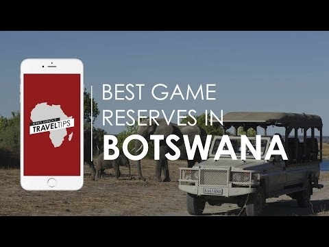 What are the best game reserves in Botswana? Rhino Africa's Travel Tips