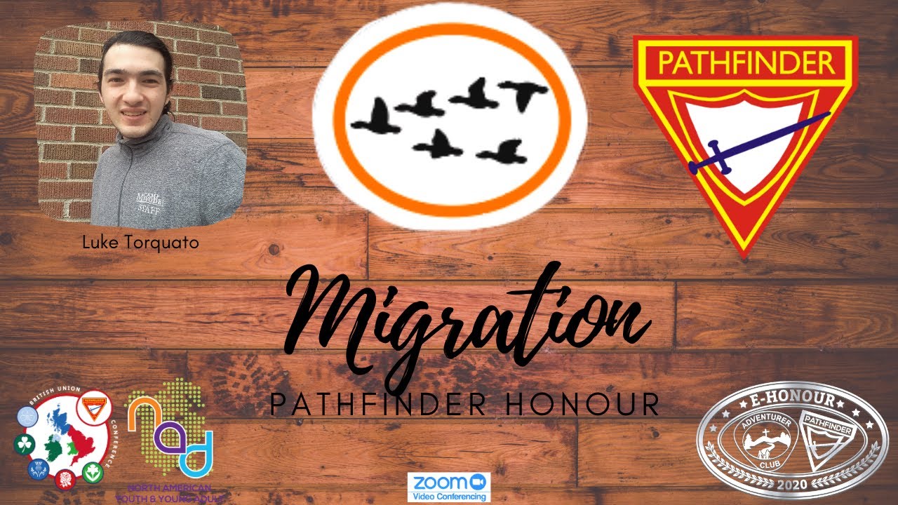 Migration Pathfinder Honour
