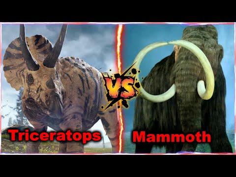 😻 Was the Ice Age Cat a predator to the mammoth? - CatVisitor.com
