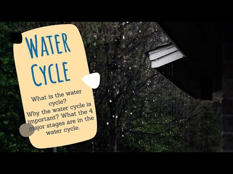 Water Cycle | What is Evaporation? Condensation? or Precipitation?