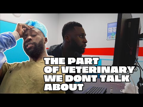 A DAY N THE LIFE OF A VET: A Vulnerable Vlog