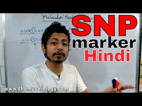 SNP markers | single nucleotide polymorphism in Hindi