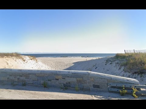 The Long Island Serial (Craigslist) Killer