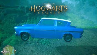 How to install Vanisho at Hogwarts Legacy Nexus - Mods and community