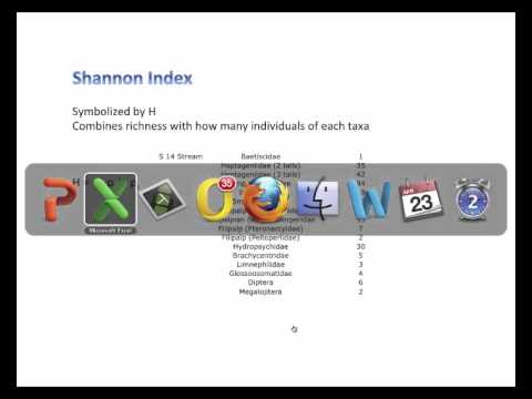 How to calculate a diversity index