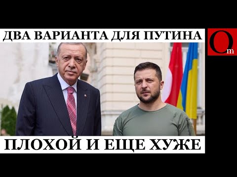 Эрдоган и Зеленский ждут путина для удара в псину