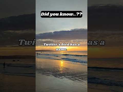Did You Know Twitter’s Bird Has a Name? 🐦 #shorts #facts #trending #twitter