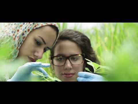 Discover KAUST