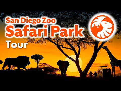 San Diego Zoo Safari Park: Full Tour & Tips