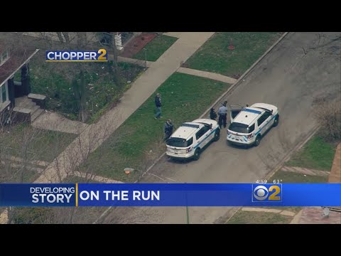 Police Search For Parolee Who Attacked Illinois Department of Corrections Employee And Ran