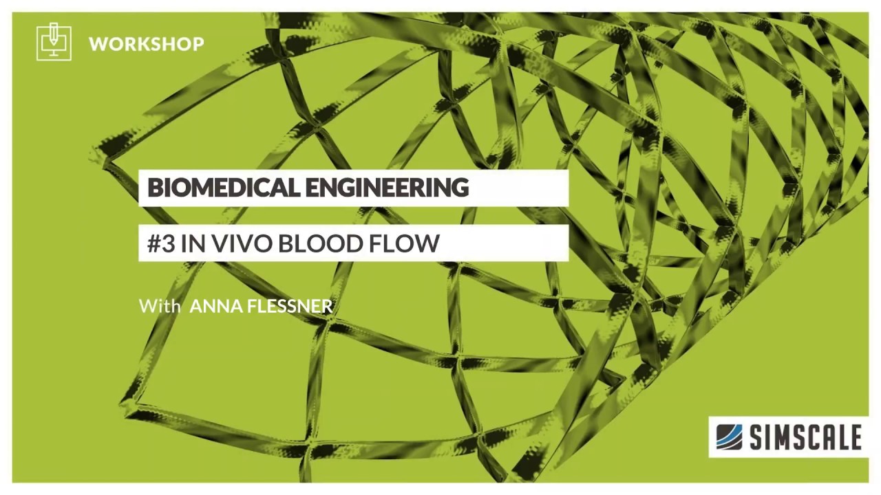 Biomedical Engineering Workshop: In Vivo Blood Flow Simulation