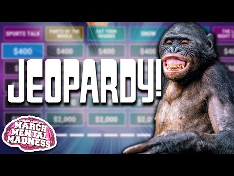 What is Monkey? // March Mental Madness Part 4