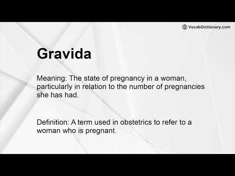 Gravida Meaning