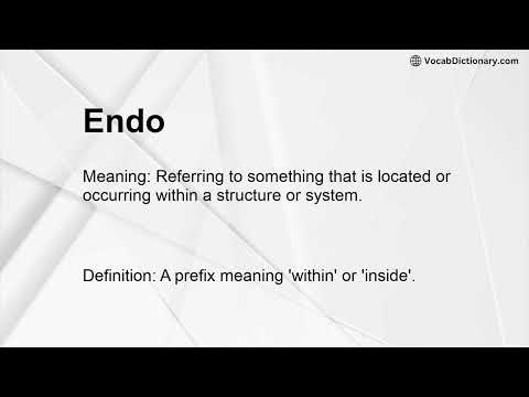 Endo Meaning