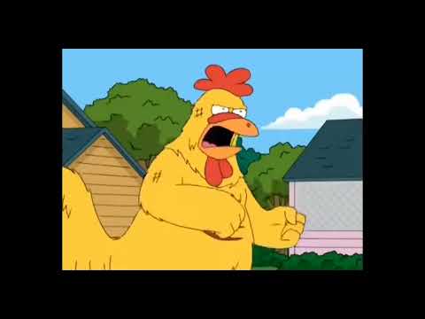Family guy Peter vs the chicken First and second Fight. 1/3