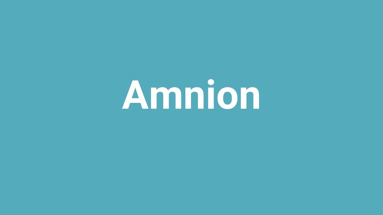 'Amnion' Meaning and Pronunciation