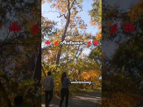 Chico, California, is DEFNIITELY an Autumn 🍁🍂 │ Travel Chico