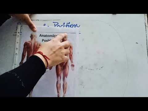 Supine and Prone position