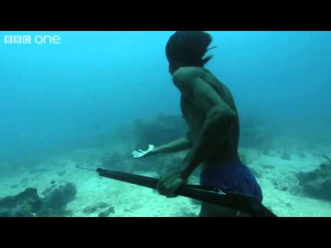 Superhuman Filipino diver from the Badjao tribe ;BBC