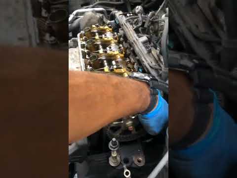 Honda timing belt to loose