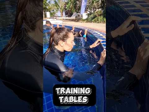 BEST FREEDIVING TRAINING FOR BEGINNERS