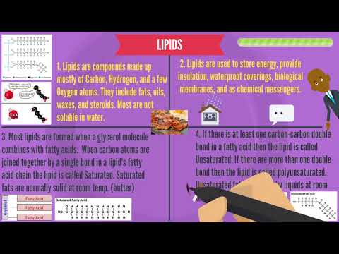Carbon & Macromolecules 101