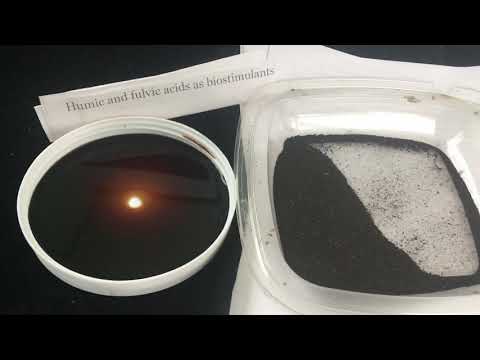 Bio-stimulants Humic / Fulvic acid used as a foliage spray for healthy organic plants