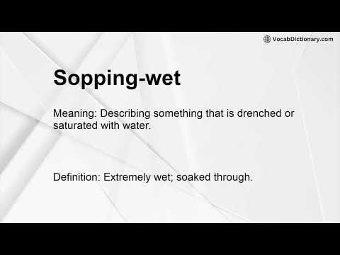 Sopping-wet Meaning