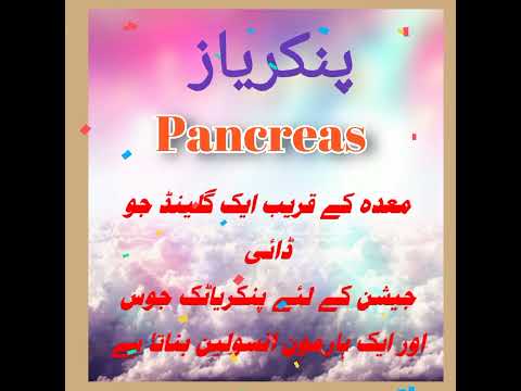 پنکریاز