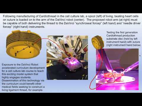 Surgical Robot Challenge 2023: Best Innovation Winner