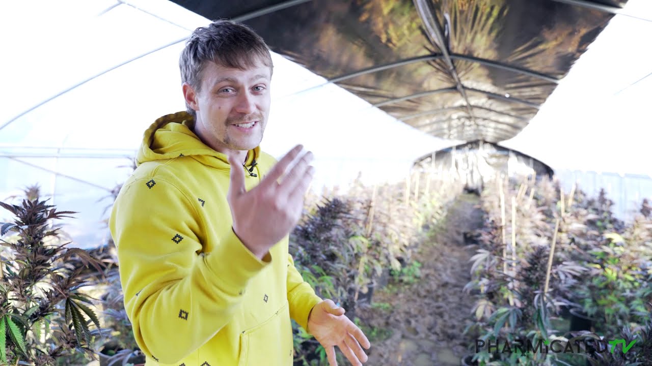 Cannabis Greenhouses in Oklahoma