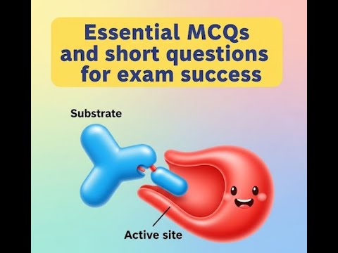 Mastering Enzymes: Essential MCQs & Short Questions for Exam Success!