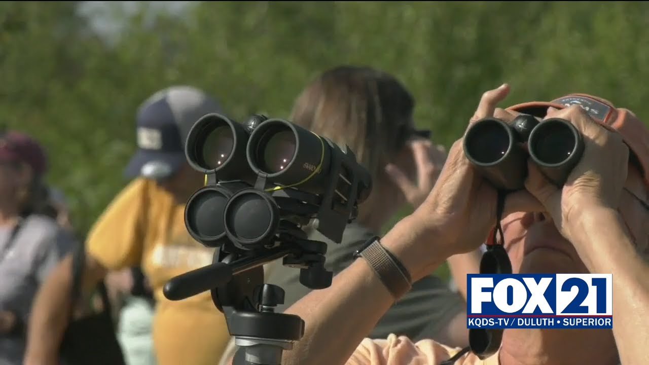 Fall hawk migration soars at Hawk Ridge in Duluth