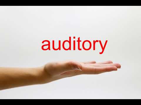 How to Pronounce auditory - American English