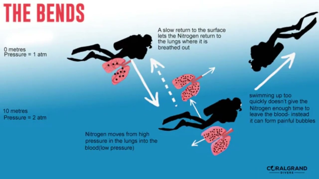 Non decompression limits (NDL) part 1