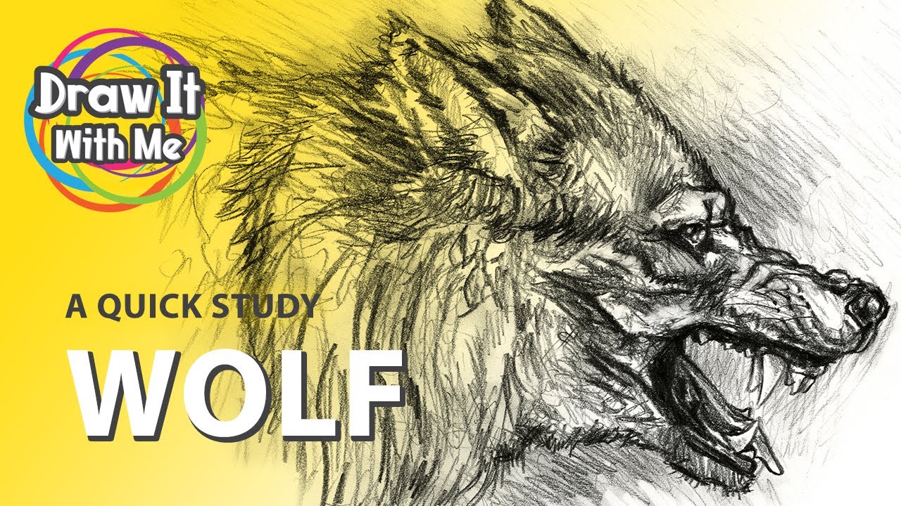 Wolf - A Quick Study | Time-Lapse + Real-Time Drawing