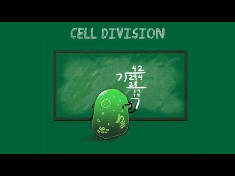 General Biology 1. Cell Division