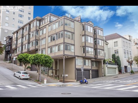 Newly renovated (2025) Studio in Pac Heights!