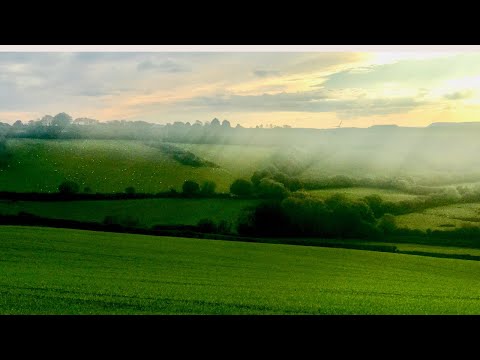 The Dash SONG