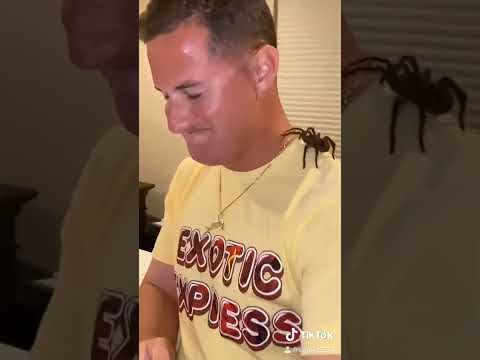 First time holding my pet tarantula went likeπ·π¨ @stackz954 #spider #scary