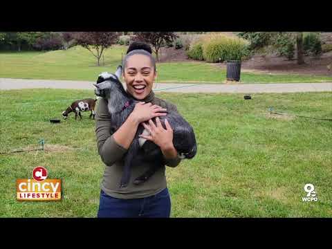 Local couple starts Mobile Petting Zoo | Cincy Lifestyle