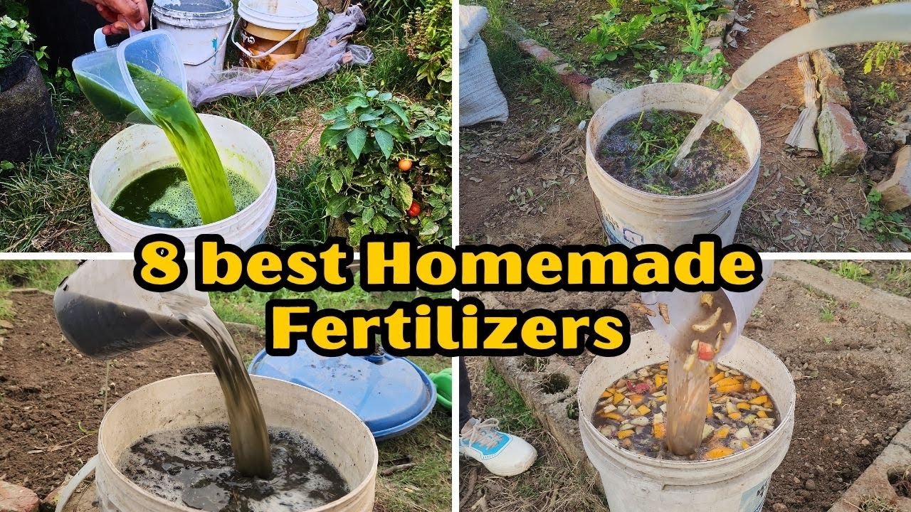 “Unlock the Magic of Homemade Fertilizers—8 Simple Recipes That Work Like Spells!”
