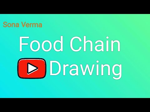 how to make food chain