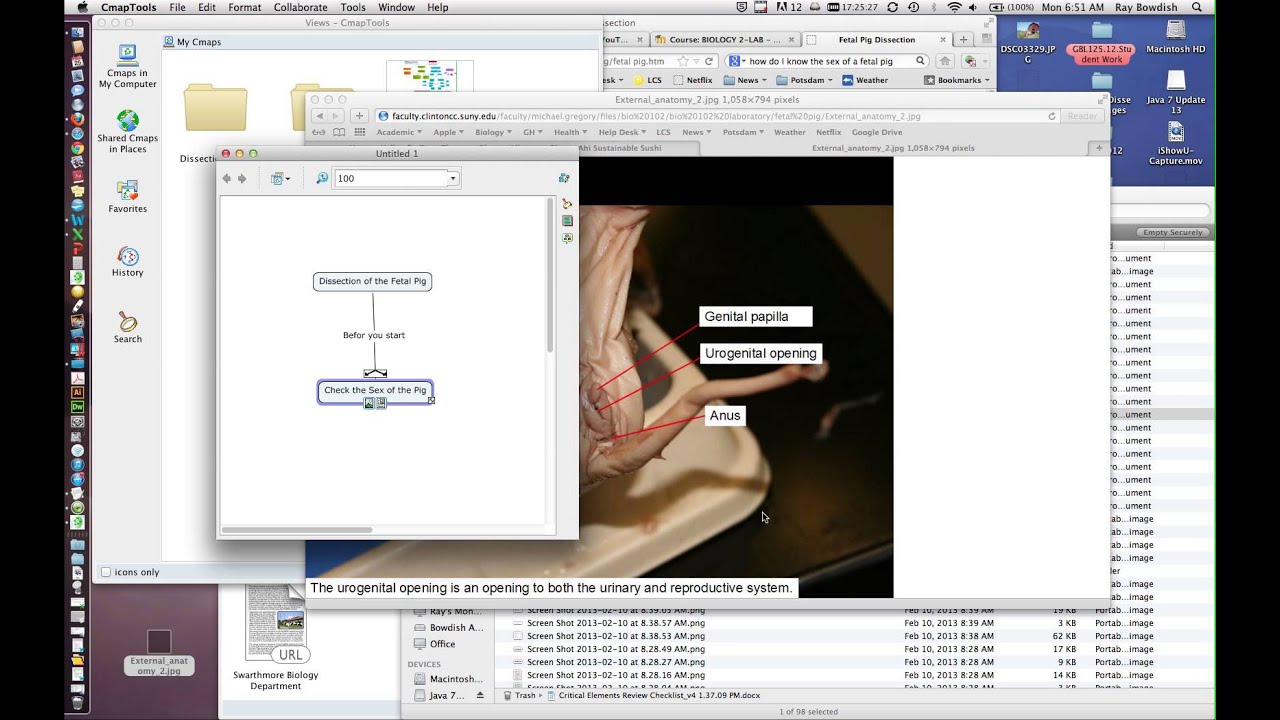 Cmap Resources Tutorial