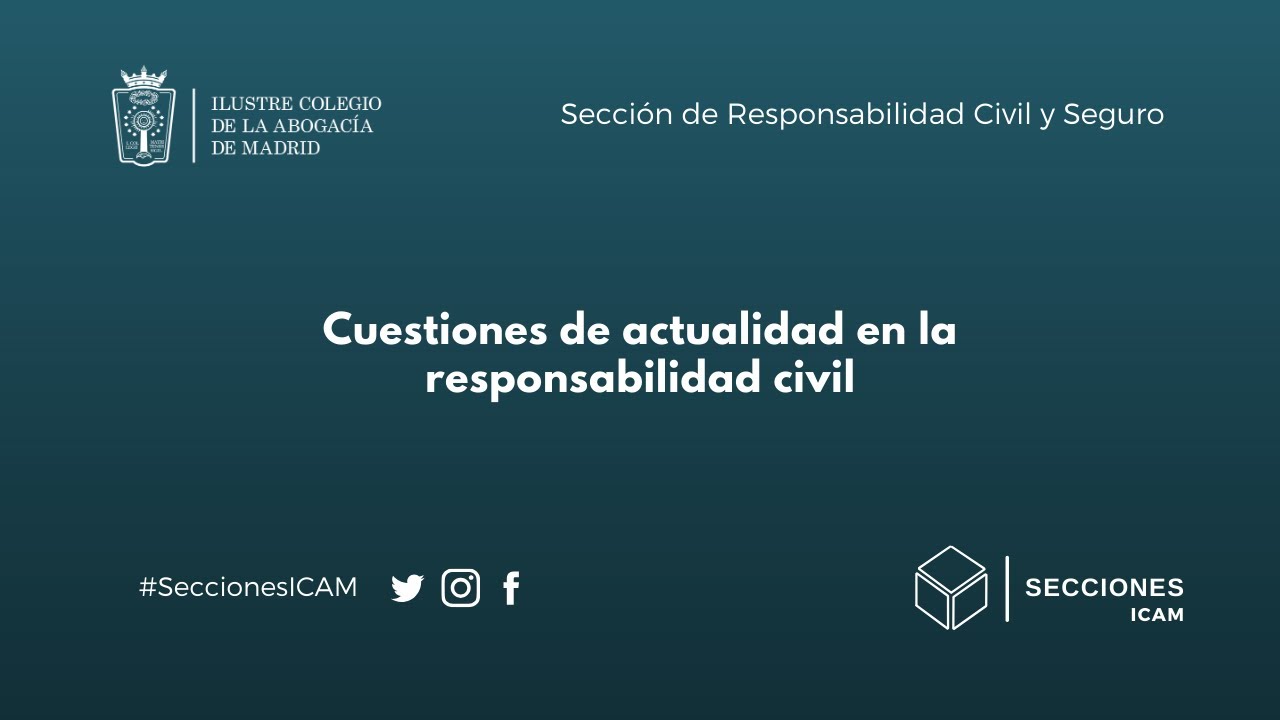 Sección de Responsabilidad Civil y Seguro: Cuestiones de actualidad en la responsabilidad civil