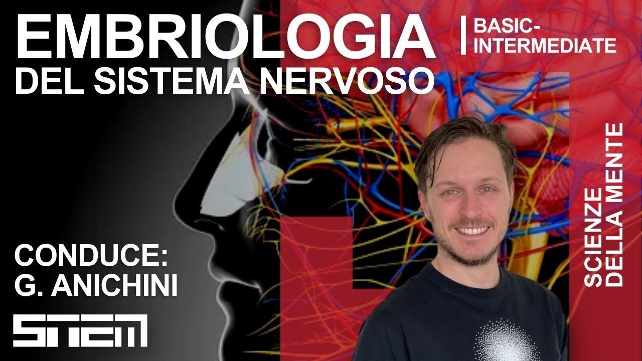 Embriologia del Sistema Nervoso - Basic / Intermediate