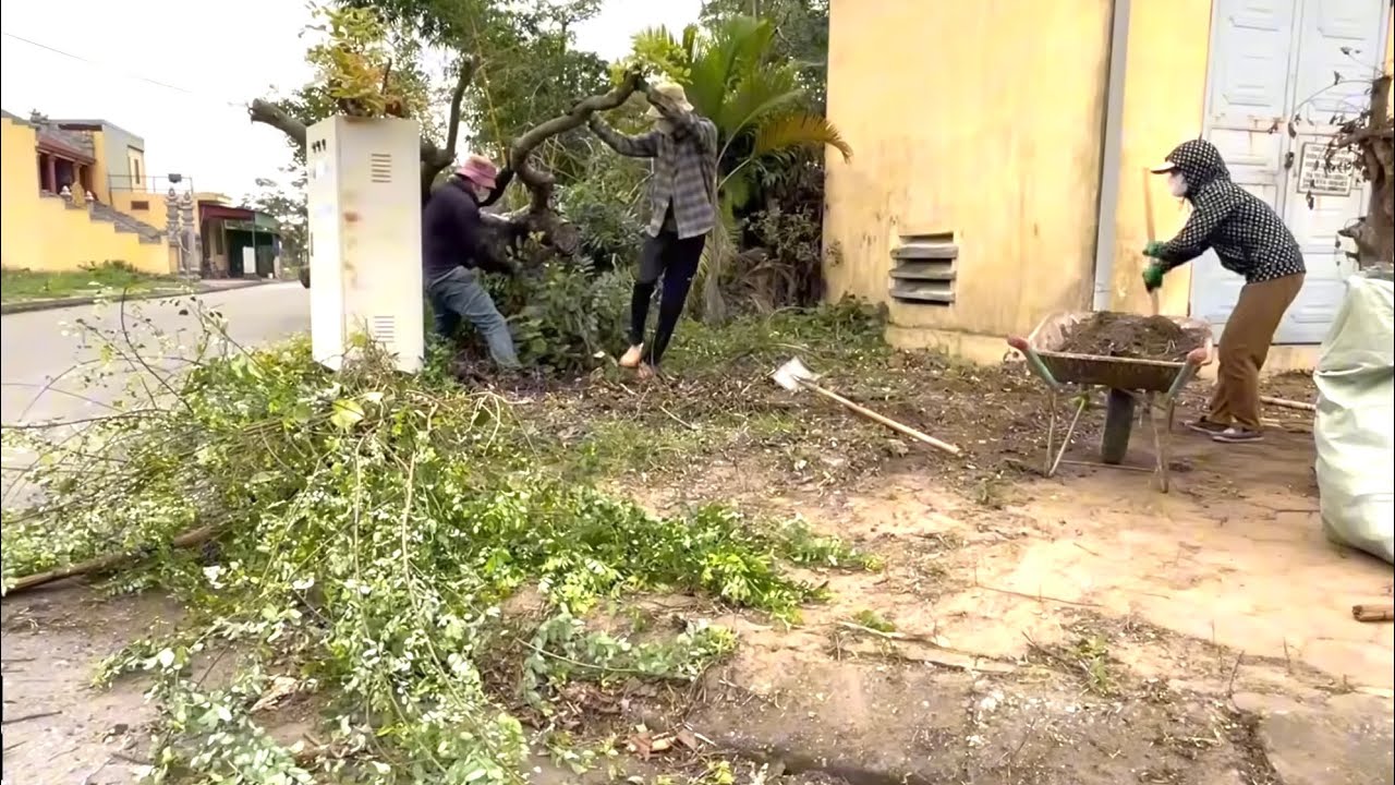 😱 Young Man Collapses from Exhaustion Cleaning Sidewalks with Us — Disaster Cleanup.
