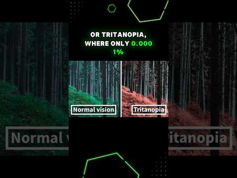 What Color Blindness "Looks" Like